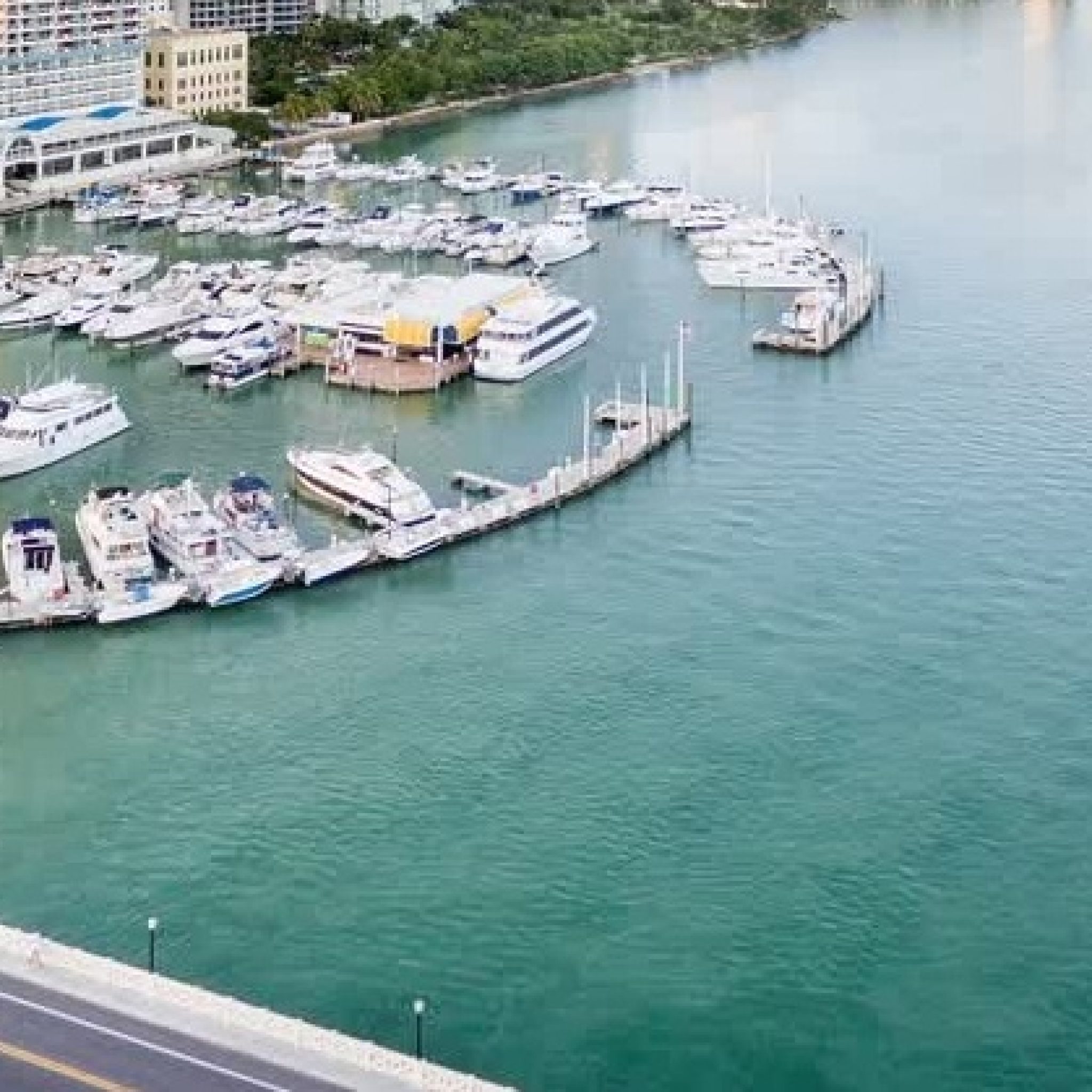 Renting A Boat In Miami: The Perfect Way To Explore The City's Stunning ...